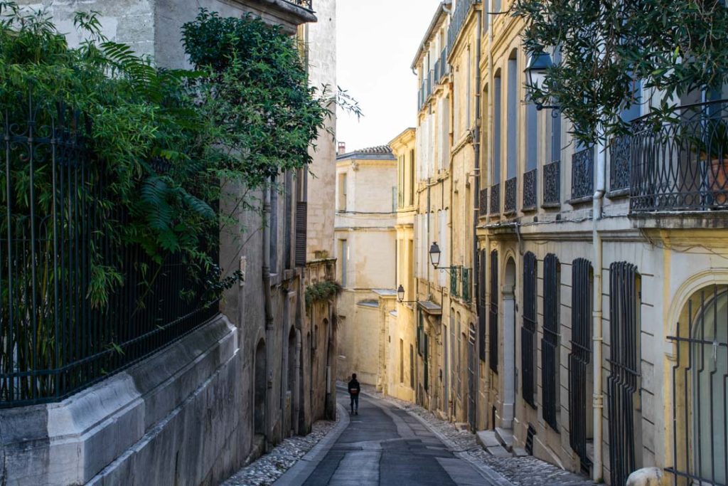 5 Reasons Why It's Worth Visiting Montpellier in France - Travelsewhere
