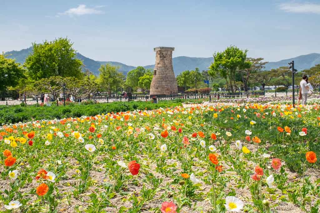 Here's What to Do in Gyeongju, South Korea - Travelsewhere
