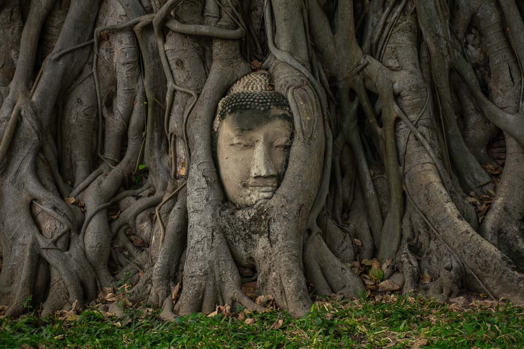 A Lengthy Guide on Things to Do in Ayutthaya, Thailand - Travelsewhere