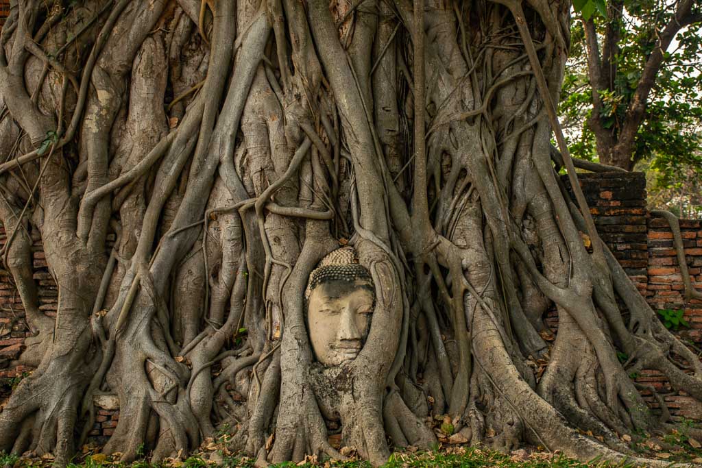 A Lengthy Guide on Things to Do in Ayutthaya, Thailand - Travelsewhere